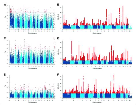 Selected Signature Detection For Different Groups On Manhattan Graphs Download Scientific