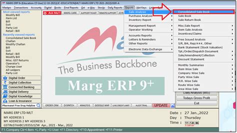 How To View Stock Issue Report In Marg Software