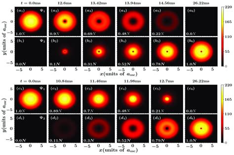 Color Online Shows The Time Evolution Of Density Profiles Of The