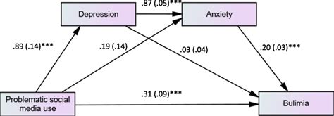 Serial Mediation Of The Effect Of Problematic Social Media Use On Download Scientific Diagram