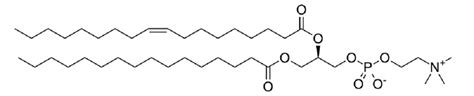 3 Sketch Of The POPC Chemical Structure 3 Download Scientific Diagram