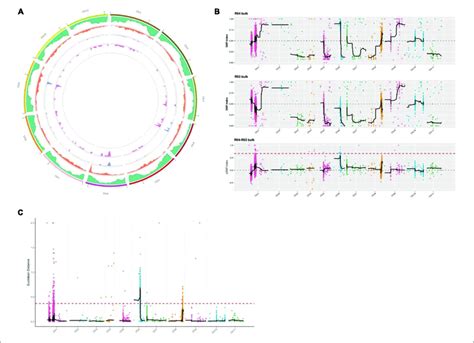 A Chromosomal Distribution Of The Candidate Regions Determined