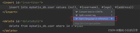 idea 中 mapper xml 配置 sql 语法的检查 idea 自动检验sql csdn博客
