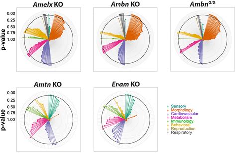 Functional Pleiotropy Of Emps Revealed By Unbiased Phenotyping Download Scientific Diagram