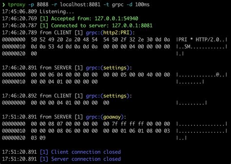 tcp proxy learning from the book black hat go