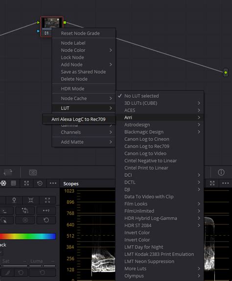Everything About Using LUTs In Davinci Resolve