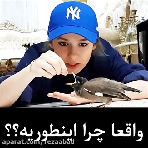 پریسا پور مشکیپریسا پورمشکی طنز