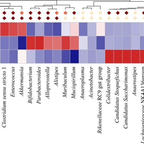 Microbial Community Analysis A Statistical Analysis Of The Top 35