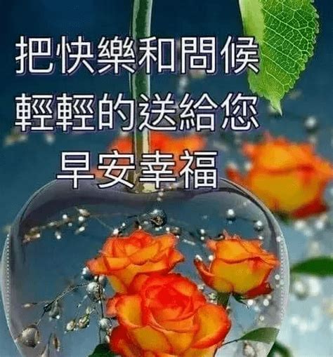 真心祝福开心每天 问候 心田 世界