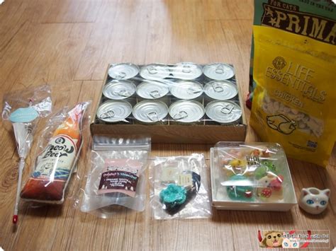 궁디팡팡마켓 5회 관람기 2관 업체 총정리 지름후기 네이버 블로그