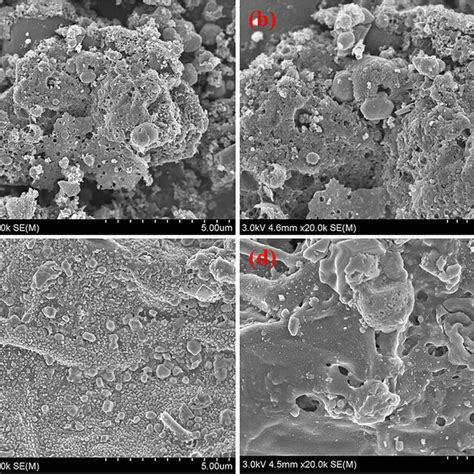 A And B Sem Of Biochar C And D Sem Of Af Biochar Download