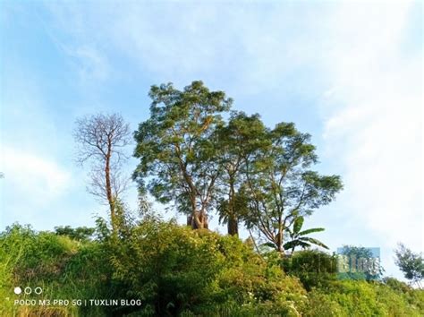 Review Kamera Poco M Pro G Berkekuatan Mp Sensor Omnivision Ov B Tuxlin Blog