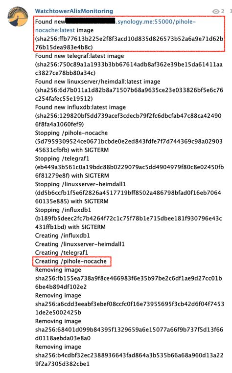 Recursive Dns Ad Blocker Part 2 Installing Pi Hole Without Caching On Synology Nas With Docker