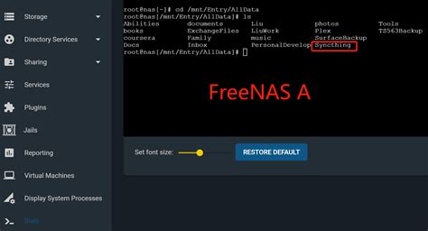 Cannot Find Sub Dataset In Root Shell But Existed In Freenas Web Ui