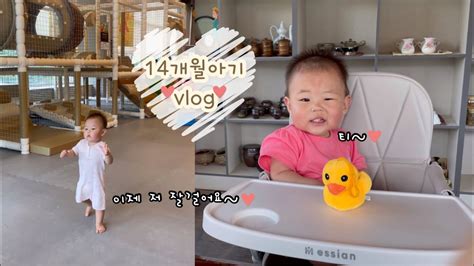 걷기시작한 14개월아기vlog🧢💙대관령 양떼목장🐏광교 아쿠아리움🐟꽃차카페🌼키즈카페👶🏼 Youtube