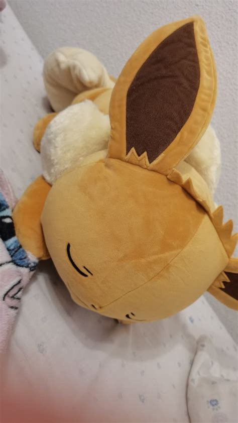 Pokemon Eevee Sleeping Plush Pokemon Store