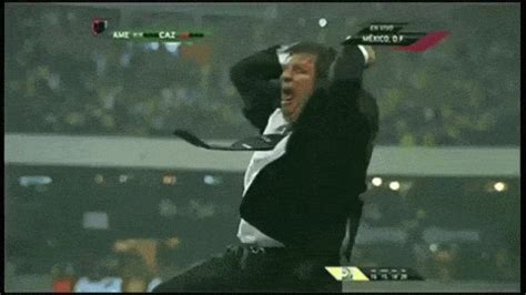 Code Bug GIFs Find Share On GIPHY