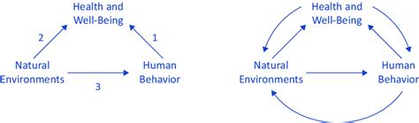 From Linear Causality To Systems Thinking Notes The Relations Between