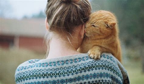 Людина друг собаки знаки Зодіаку які обожнюють своїх домашніх улюбленців Новости Section