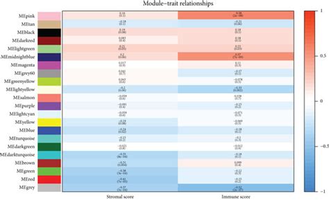 The Samples Clustering Dendrogram Immune Score Stromal Score And The Download Scientific