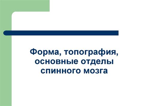 Спинной мозг Форма топография основные отделы спинного мозга презентация онлайн