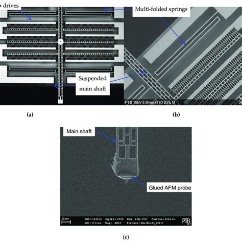 Geometrical Dimensions Of The Tapered Silicon Pillars Determined By Sem Download Scientific