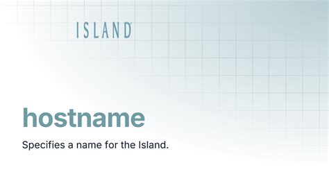 Hostname Island Router Documentation