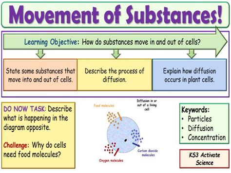 Movement Of Substances Ks3 Activate Science Teaching Resources
