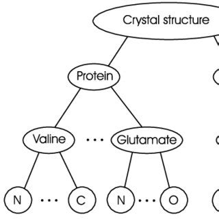 Hierarchy Of Molecular Data On The Left We List Major Levels Of The Download Scientific