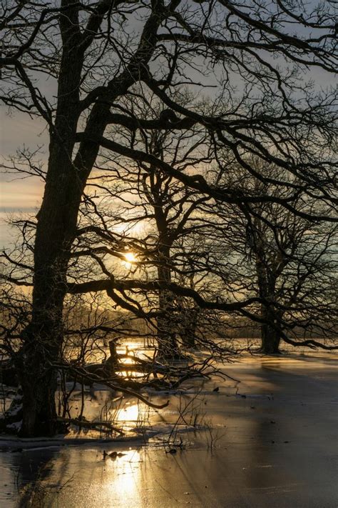 한결같은 마음과 따뜻한 만남 좋은글귀 자신에게 늘 한결같이 잘 해주는 사람과 작은 정성으로 매일 매일 메세지를 보내주는 사람을 절 경산 생생 정보통 Band