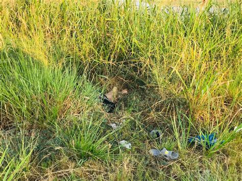 🔴breaking News ប្រទះឃើញសាកសពបុរសម្នាក់ដោះអាវដេកស្លាប់នៅក្នុងព្រៃ សង្ស័យជាករណីឃាតកម្ម Cnc News