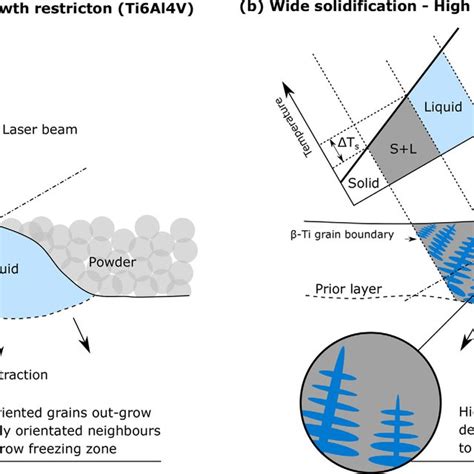 Diagram Illustrating Different Solidification Behaviour Between Alloys Download Scientific