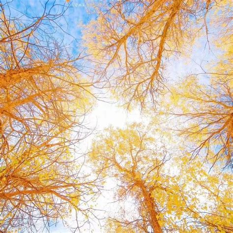 盘点 Net 比较流行的开源的orm框架 知乎