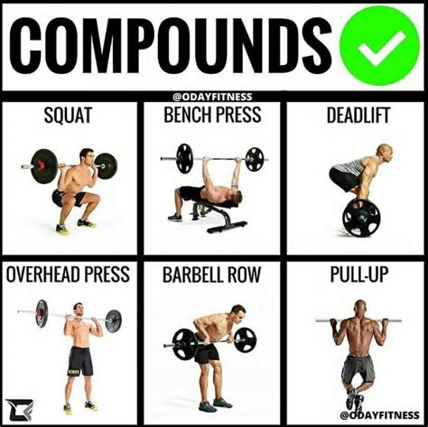 Best Chest Workout For Ectomorphs At Melissa Simons Blog