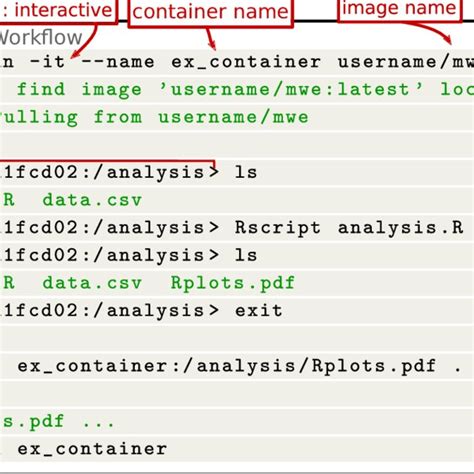 Example Terminal Inputoutput For Running A Container Using Docker Download Scientific Diagram