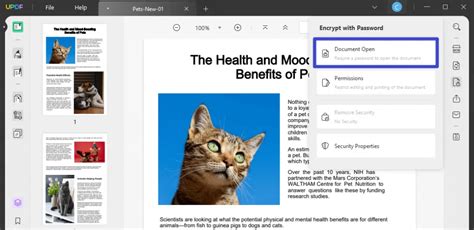 How To Password Protect Pdfs Online 2 Effective Ways Updf