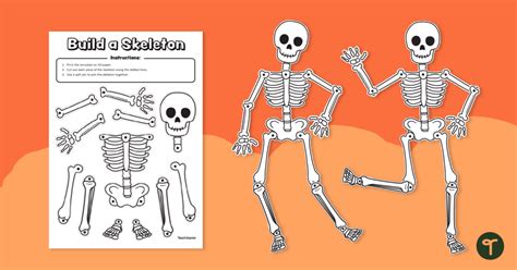 Build A Skeleton Template Teach Starter Worksheets Library
