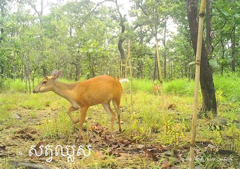 មើលរាងអូនឈរមុខម៉ាស៊ីនថតស្វ័យប្រវត្តិ តើអូនស្រស់យ៉ាងណា សារព័ត៌មាន នគរវត្ត