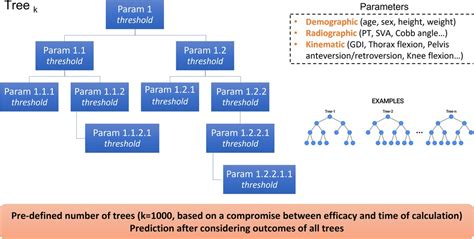 Frontiers Functional Assessment Using 3d Movement Analysis Can Better Predict Health Related