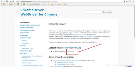 Webdriverchrome报错：monexceptionswebdriverexception Message Chromedriver