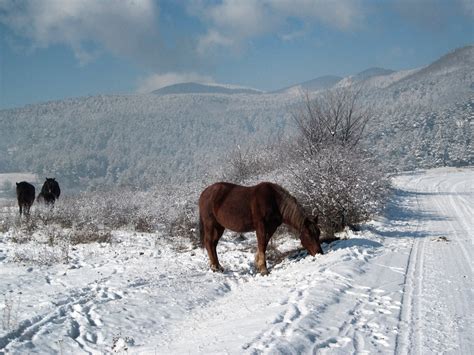 Зима в Юндола и околнистите Част 1 СНИМКИ Блогът на туристически