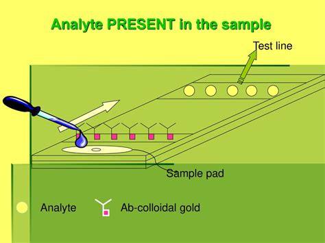 Immunochemical Methods And Biosensors For Pollutants Determination