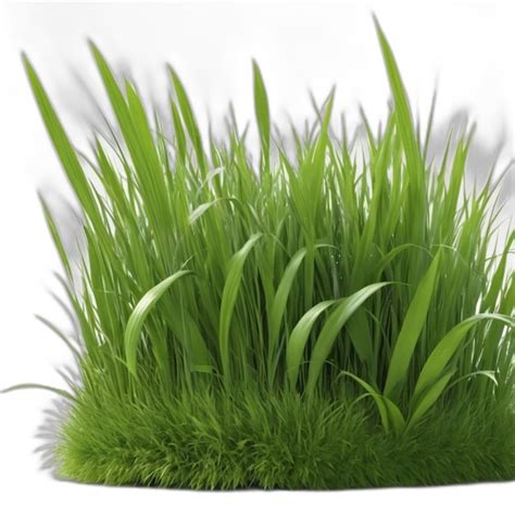 Premium Psd Grass Psd On A White Background
