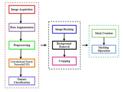 The Proposed Model For Tomato Maturity Classification Download