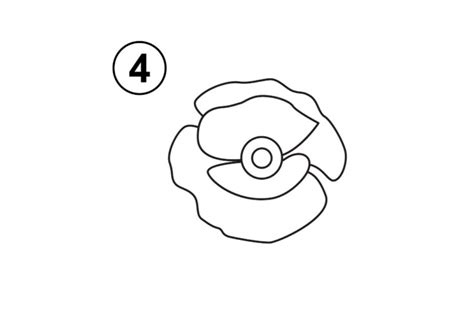 How To Draw A Poppy In Easy Steps