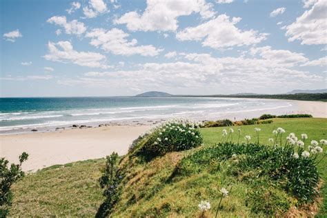 Belle Property Escapes Berry Office