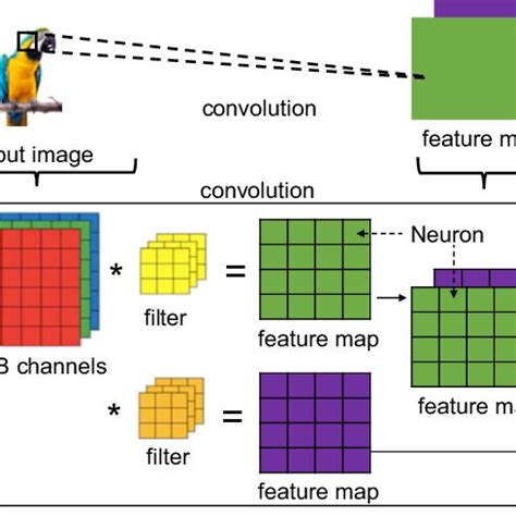 Example Images From ImageNet Download Scientific Diagram