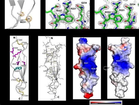 Structure Of Ccn3 Tsp1 Domain A Anomalous Difference Density Of Pt Download Scientific