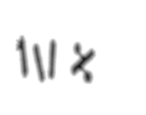 Watershed Am I Getting The Concept Wrong Opencv Qanda Forum