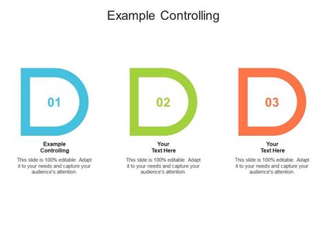 Example Controlling Ppt Powerpoint Presentation Styles Portrait Cpb
